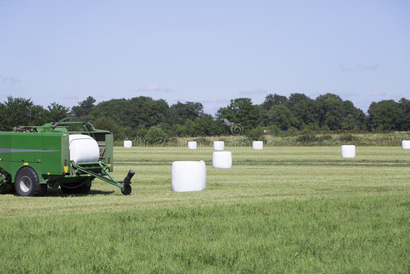 Wrapped Silage Bales stock photo. Image of farm, fodder - 56032154