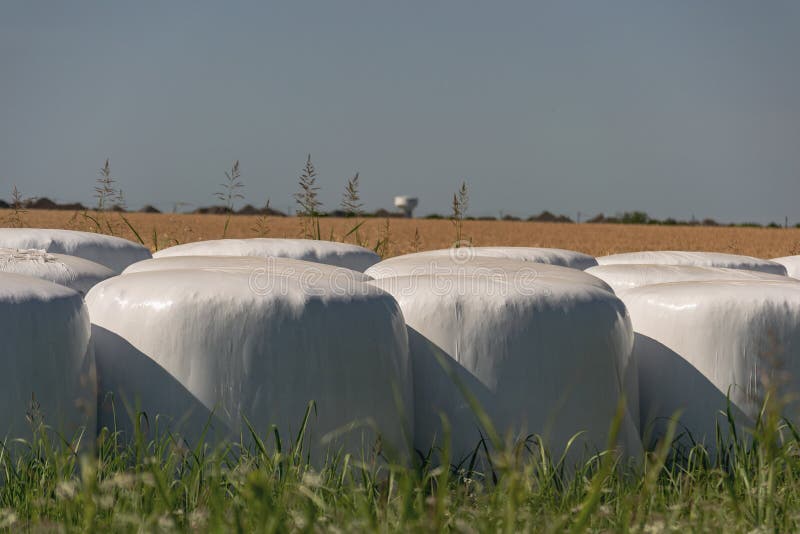 Silaged Wrapped Hay stock image. Image of polyethylene - 120590585
