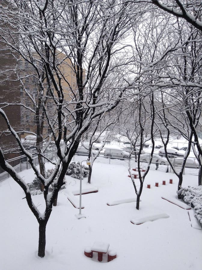 Silence is Golden editorial stock image. Image of wintery - 51093359