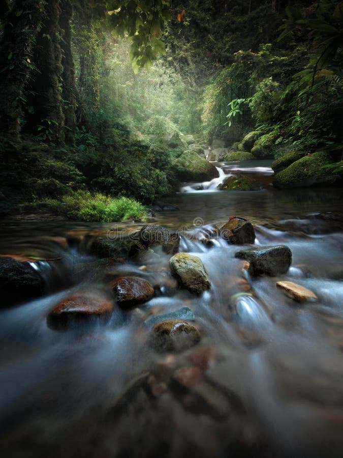 The Silence river side stock image. Image of silence - 253155279
