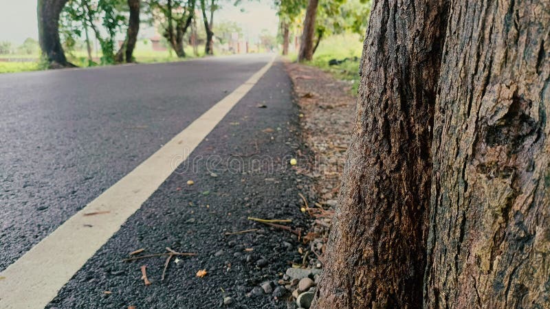 Silent asphalt road stock image. Image of track, infrastructure - 356313723