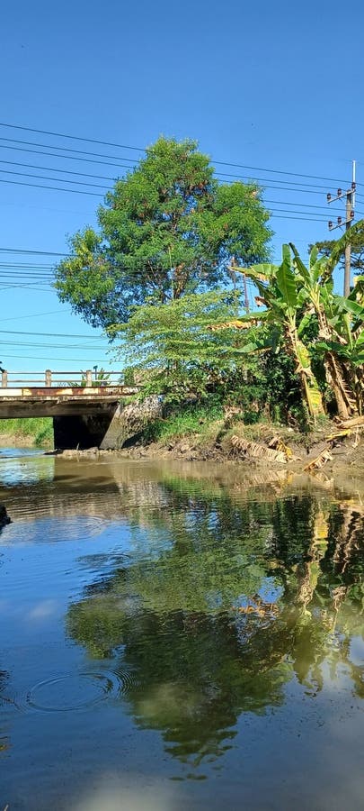 Silent atmosphere 2023 stock image. Image of lake, plant - 277797011