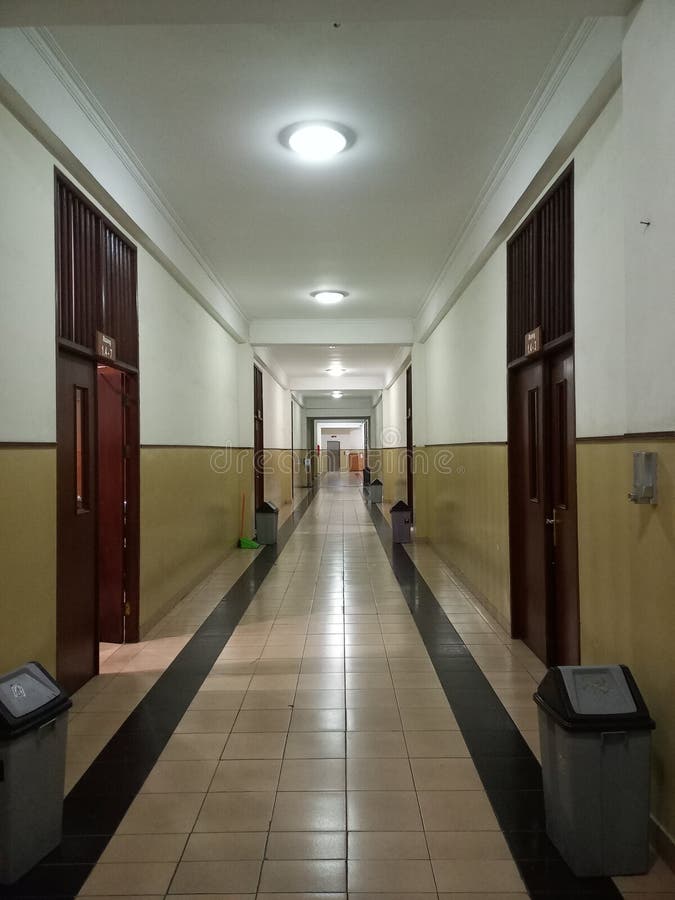 Silent Corridor at Night stock photo. Image of hall - 262327984
