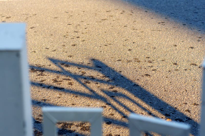 Silent Figure Casts a Dark Reflection on the Urban Pathway Stock Image ...