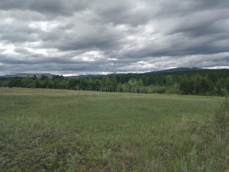 Silent Forest in Spring with Beautiful Bright Sun Rays Stock Image ...