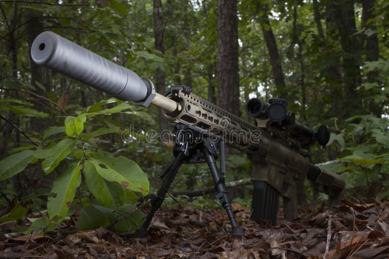 Silent gun stock image. Image of rifle, riflescope, green - 69379199