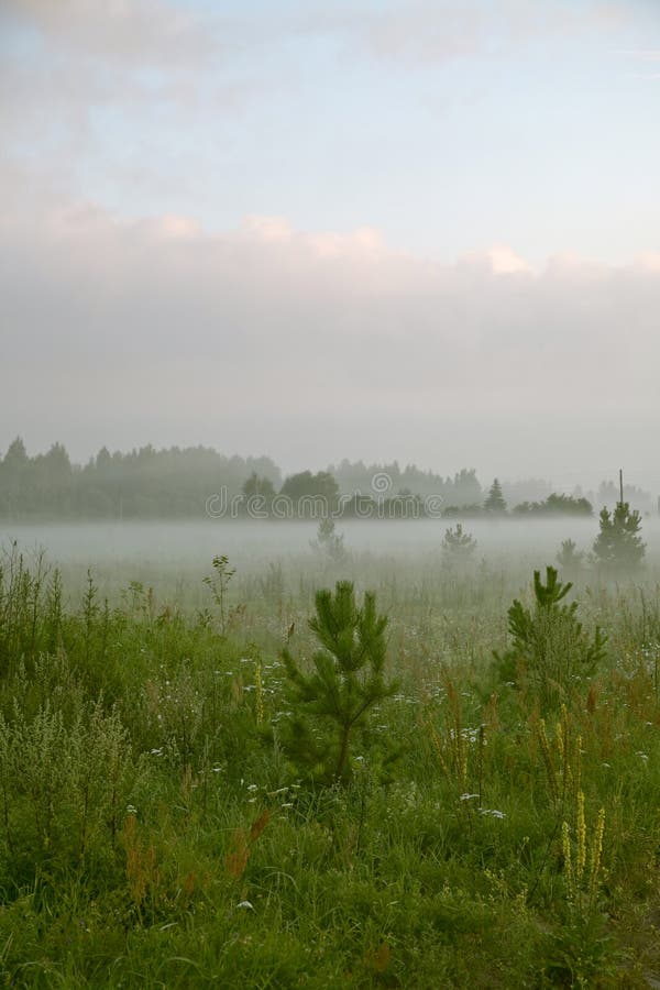 Silent morning stock photo. Image of mist, countryside - 11307778