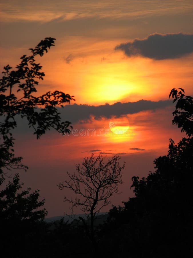 Silent Nature stock image. Image of afterglow, silhouette - 94834847