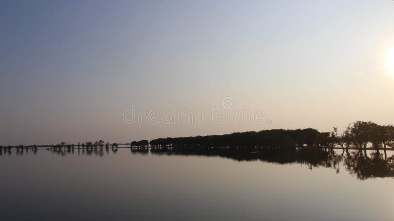Silent River with Herbs Adn Rising Sun in Foggy Scenery Stock Image ...