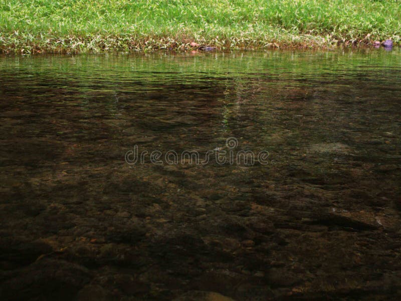 The silent river stock image. Image of streams, landscape - 106948731