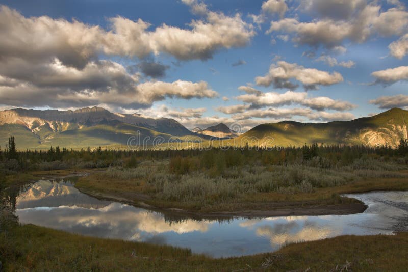 Silent river stock photo. Image of outdoors, branches - 155816944