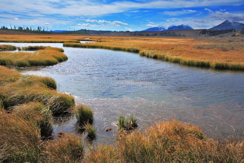Plain, Stream and Yellow Grass Stock Photo - Image of water, flowing ...