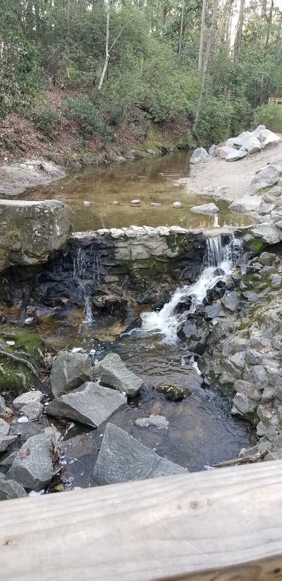 Silent Springs Meadow stock photo. Image of mature, springs - 172792036