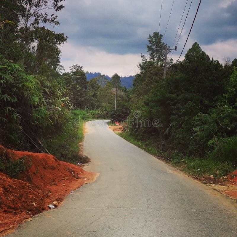 Silent Village Road stock photo. Image of jalan, tikus - 261931450