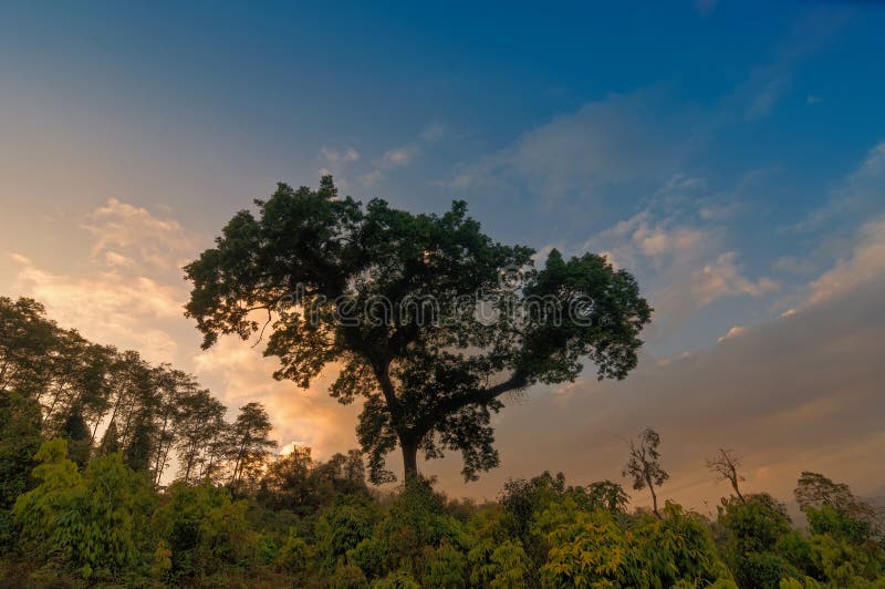 Silerygaon Village, Sikkim stock image. Image of house - 104351443