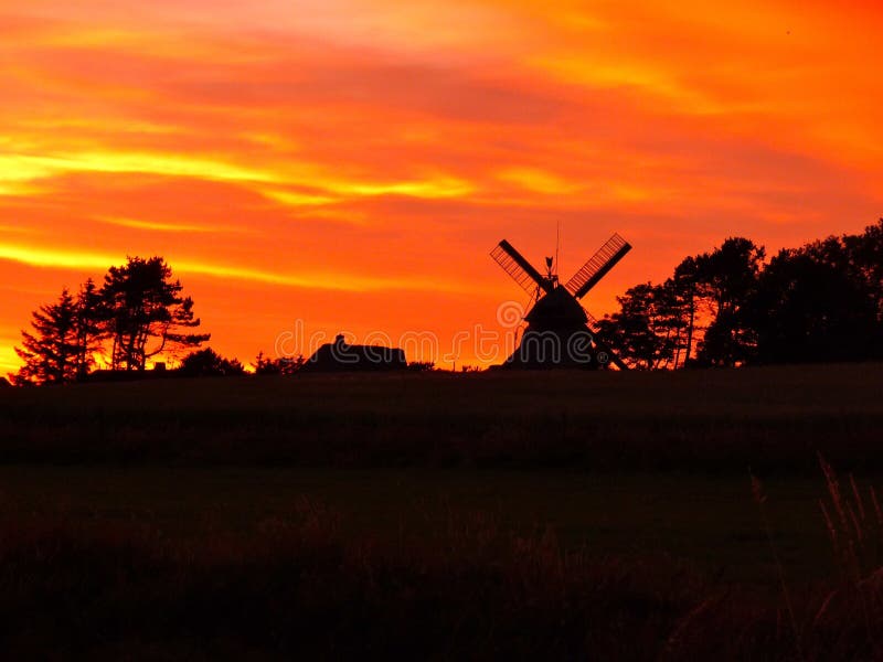 Silhouet Van Bomen En Windmolen Stock Foto - Image of bomen, landschap ...