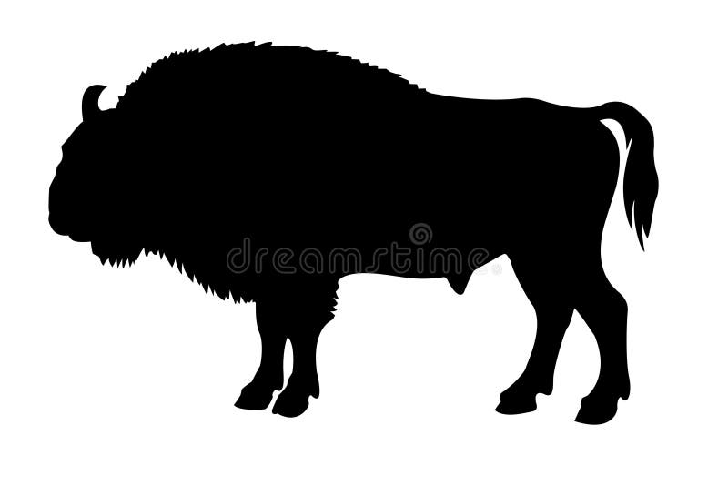 Silhouet van de buffel vector illustratie. Illustration of voorwerp ...