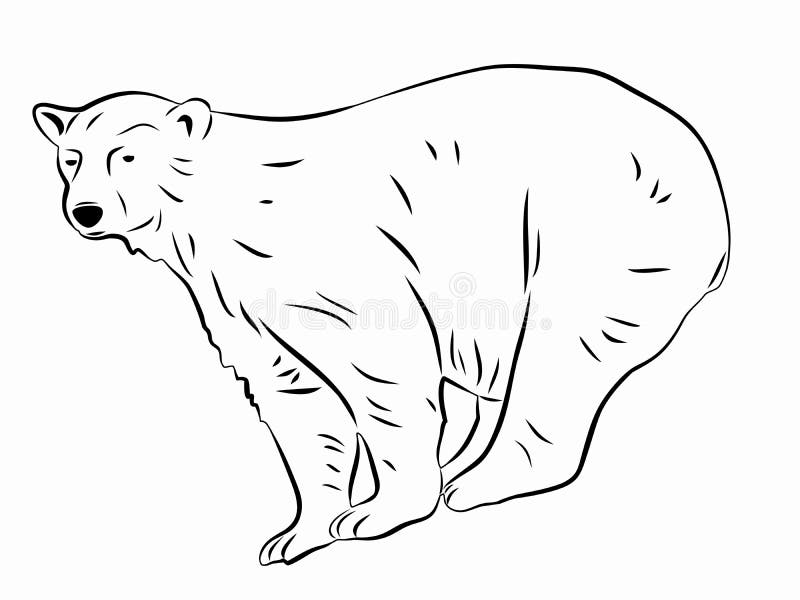 Silhouet Van Een Ijsbeer Vector Tekening Vector Illustratie ...