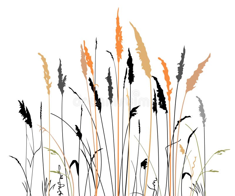 Silhouet Van Het Steppegras Vector Illustratie - Illustration of ...