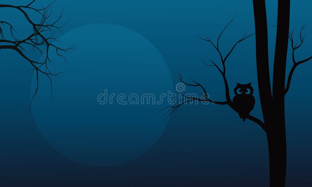 Silhouet Van Een Uil in Een Boom Halloween Vector Illustratie ...