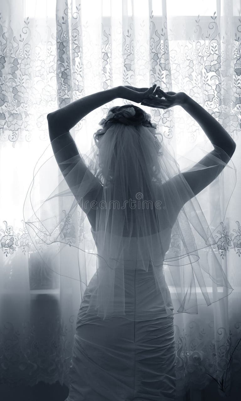 Debutante Silhouette Stock Photos - Free & Royalty-Free Stock Photos ...