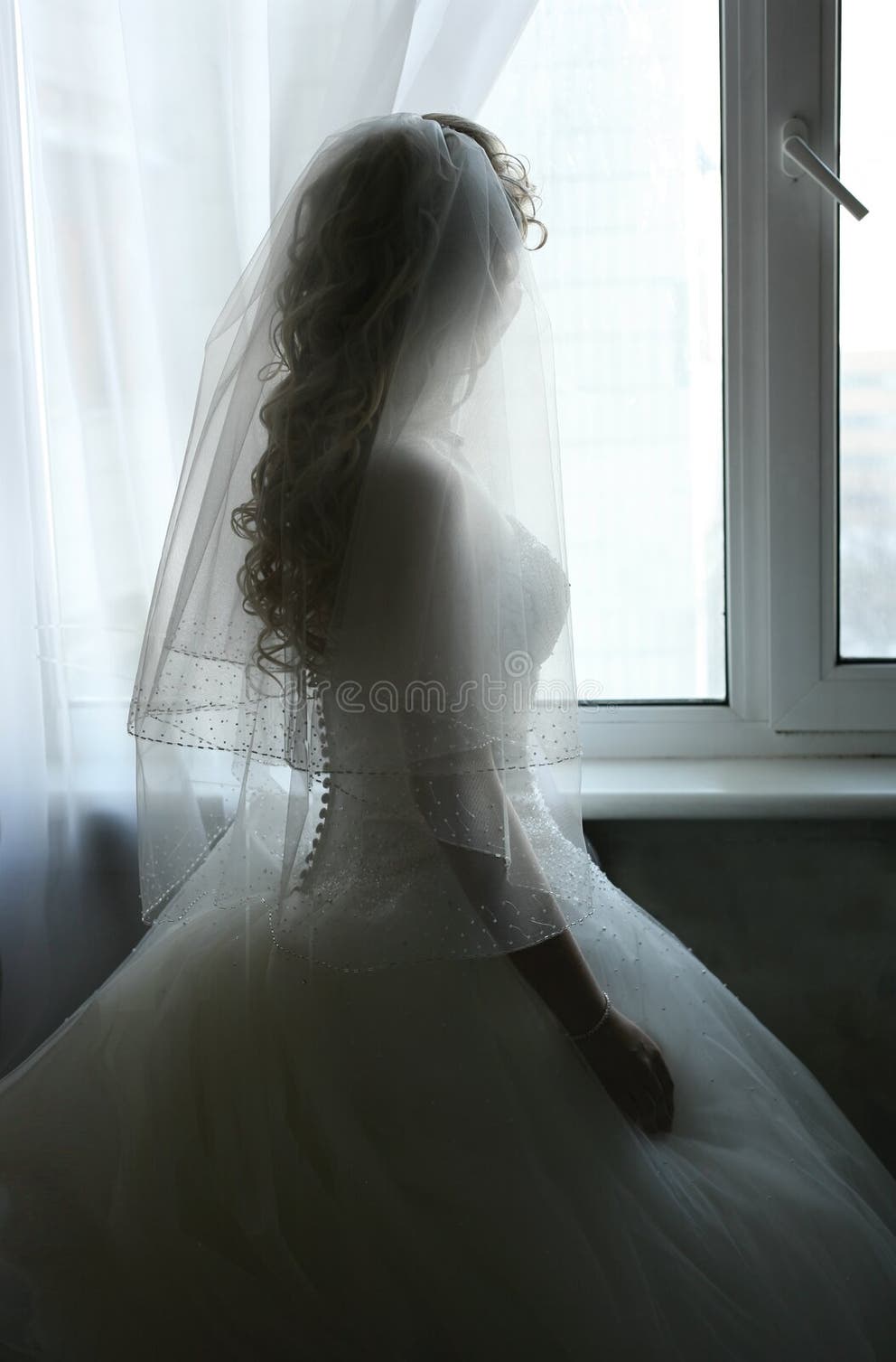 Debutante Silhouette Stock Photos - Free & Royalty-Free Stock Photos ...