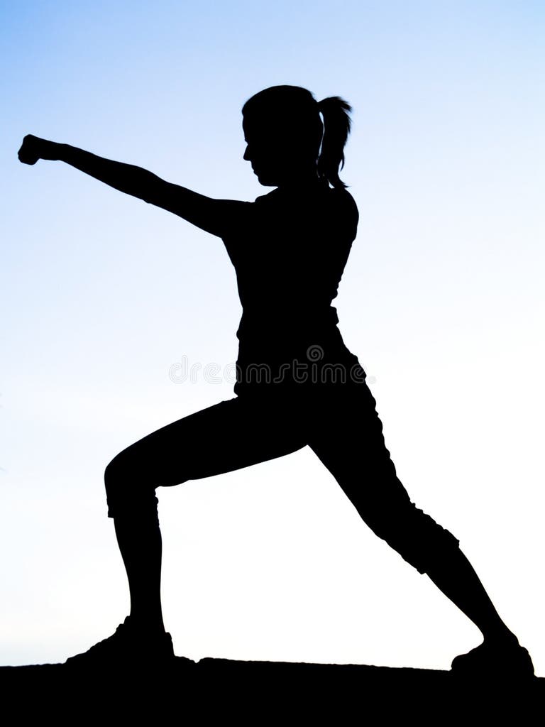 Art Female Karate Silhouettes Stock Illustrations – 75 Art Female ...