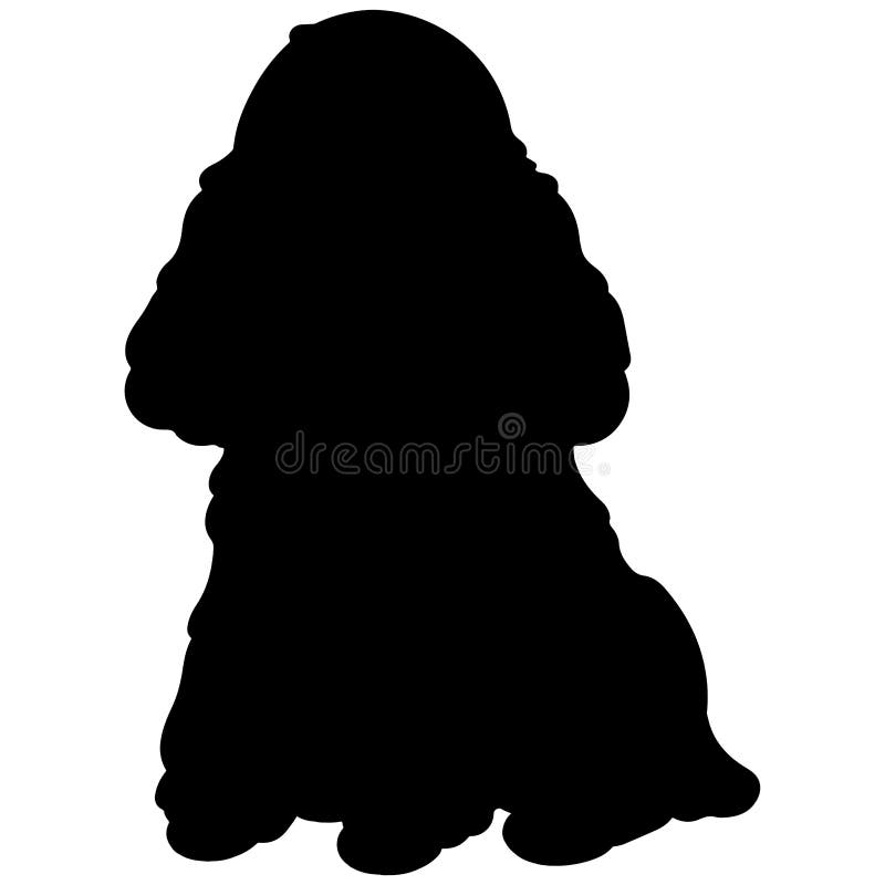 Silhouette of Adorable Simple English Cocker Spaniel Sitting in Front ...