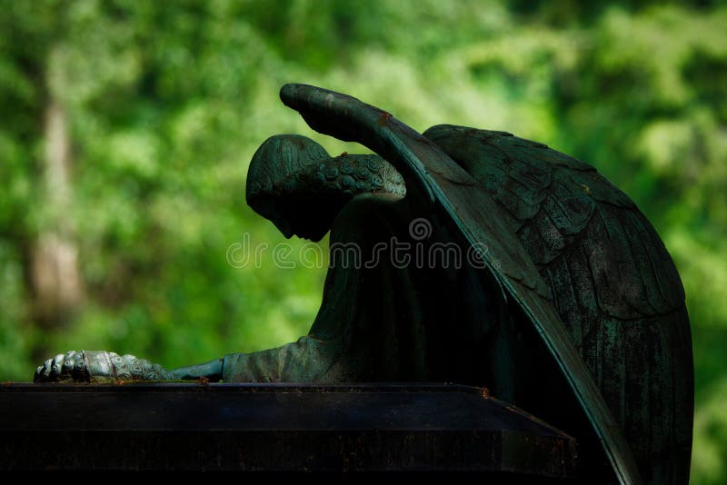 Angel looking up above stock photo. Image of death, flower - 121272382