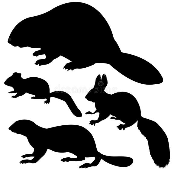 Chipmunk Silhouette Stock Illustrations – 1,964 Chipmunk Silhouette ...