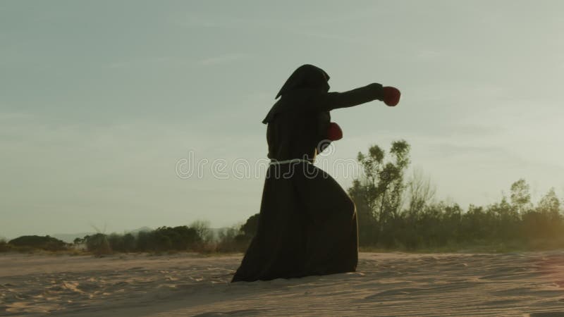 Boxing monk stock photo. Image of aspiration, defence - 7995014