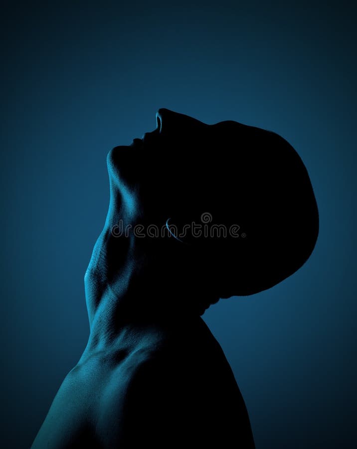 Silhouette of a Bald Man stock image. Image of deep, blue - 22582291