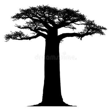 Baobab Tree Outline Stock Illustrations – 631 Baobab Tree Outline Stock ...