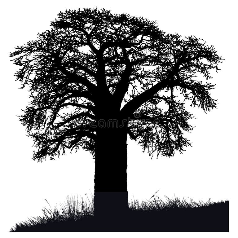 Baobab Tree Outline Stock Illustrations – 631 Baobab Tree Outline Stock ...