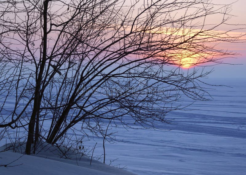 Pink Sunset with a Tree on a Stone Hillock Stock Photo - Image of ...