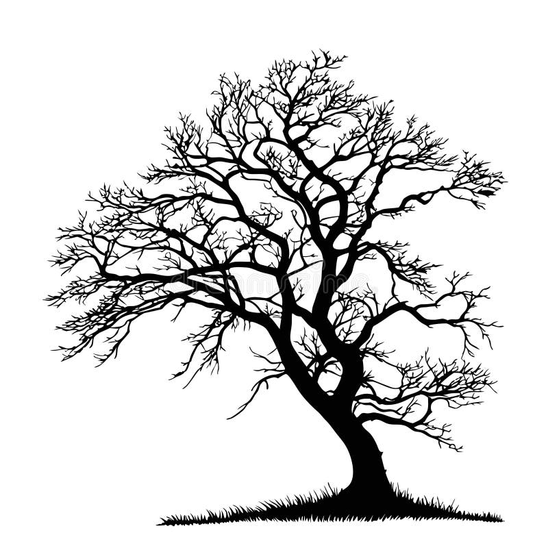 Silhouette of a Bare Twisted Tree in Winter Stock Vector - Illustration ...