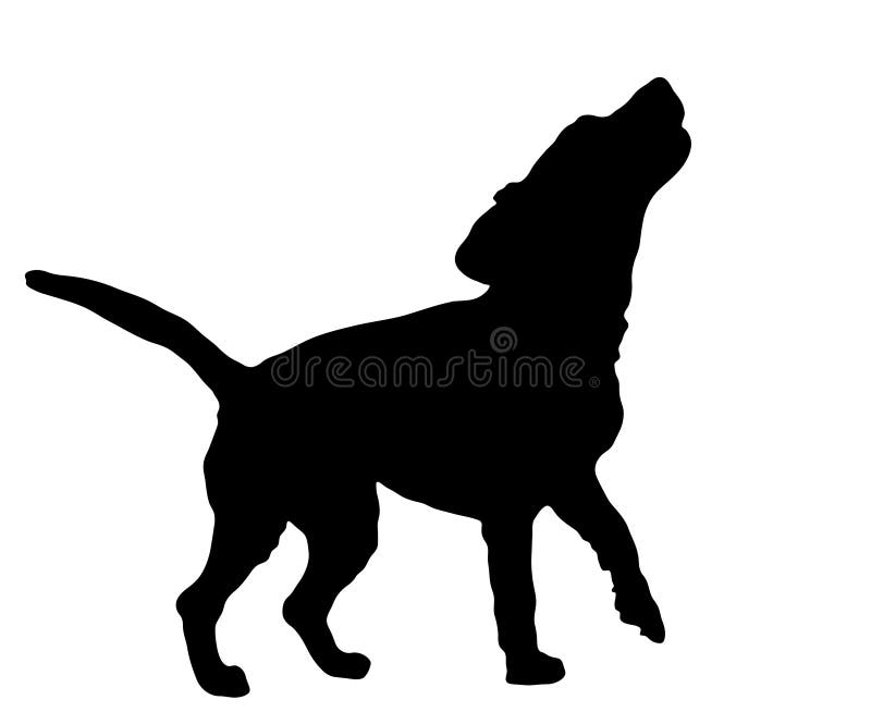 Barking Stock Illustrations – 3,705 Barking Stock Illustrations ...