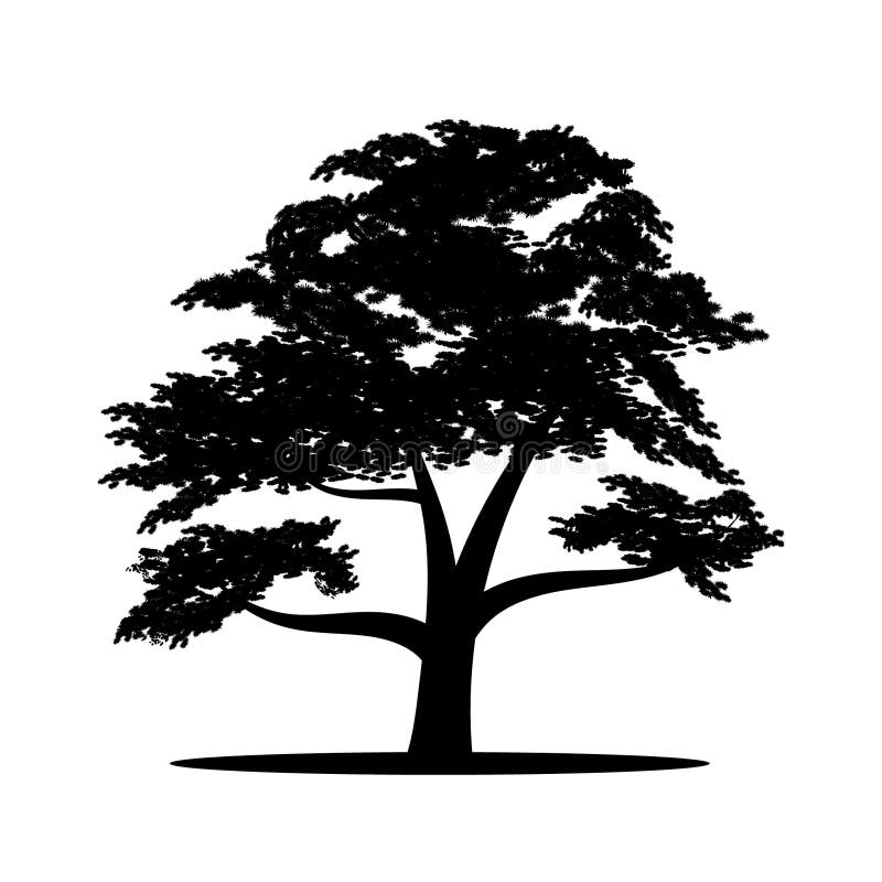 Silhouette of a Big Tree on a White Background. Vector Image Stock ...