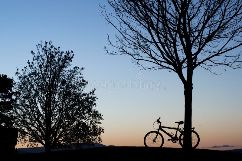 Silhouette of a Bike Leaning Against a Tree at Sunset Stock Image ...