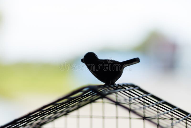 Bird Escaping Cage Stock Photos - Free & Royalty-Free Stock Photos from ...