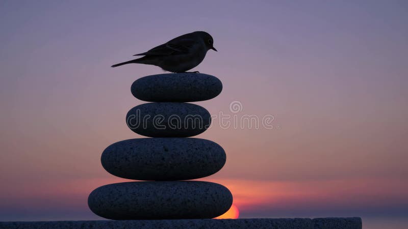 Silhouette of a Bird on Stacked Stones at Sunset, Peaceful Harmony in ...