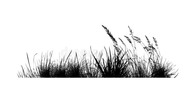 Silhouette of Black Grass. Vector Illustration Stock Vector ...