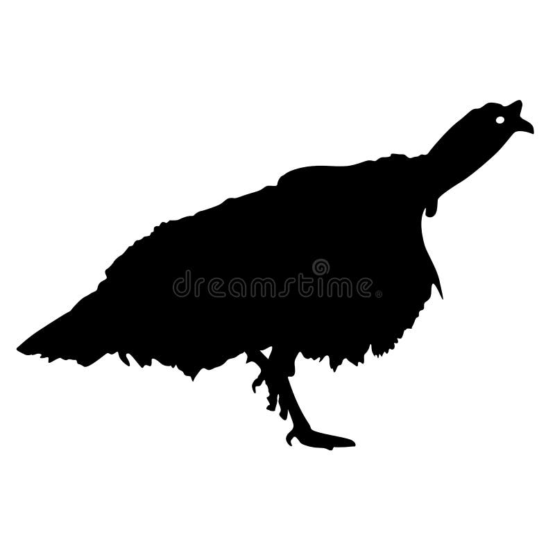 Tom Turkeys Stock Illustrations – 17 Tom Turkeys Stock Illustrations ...
