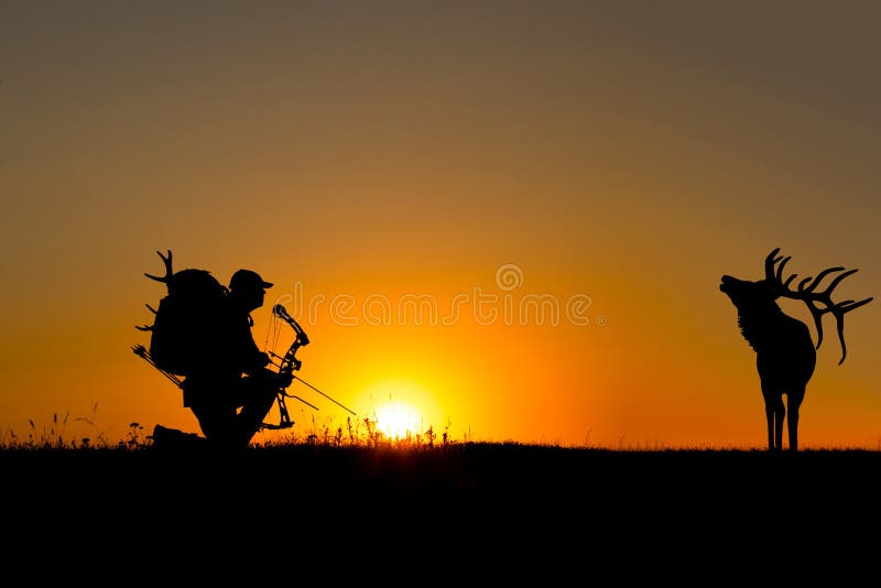 Bow hunter sunset stock photo. Image of camo, image, carnivore - 8639890