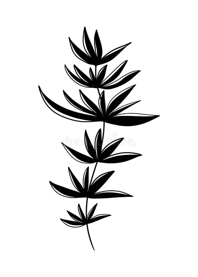 Silhouette Branch with Leaves, Stem in Black Isolated on White ... Silhouette Branch with Leaves, Stem in Black Isolated on White ...