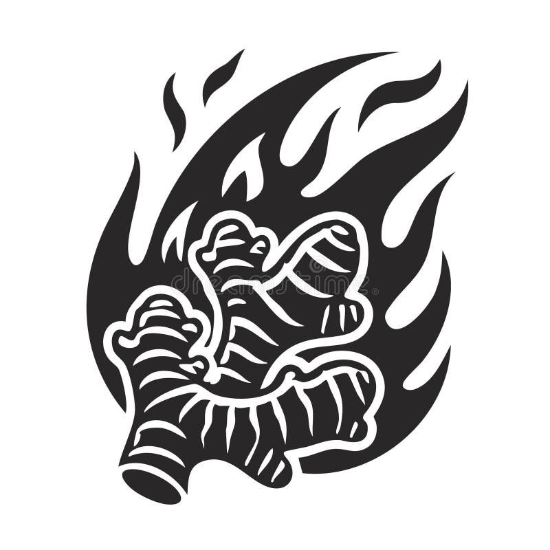 Silhouette of Burning Ginger Root. Concept Spice. Stock Vector ...