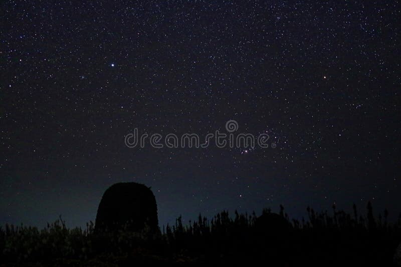 Silhouette Bush on Beautiful Milky Way on Night Sky Background. Stock ...