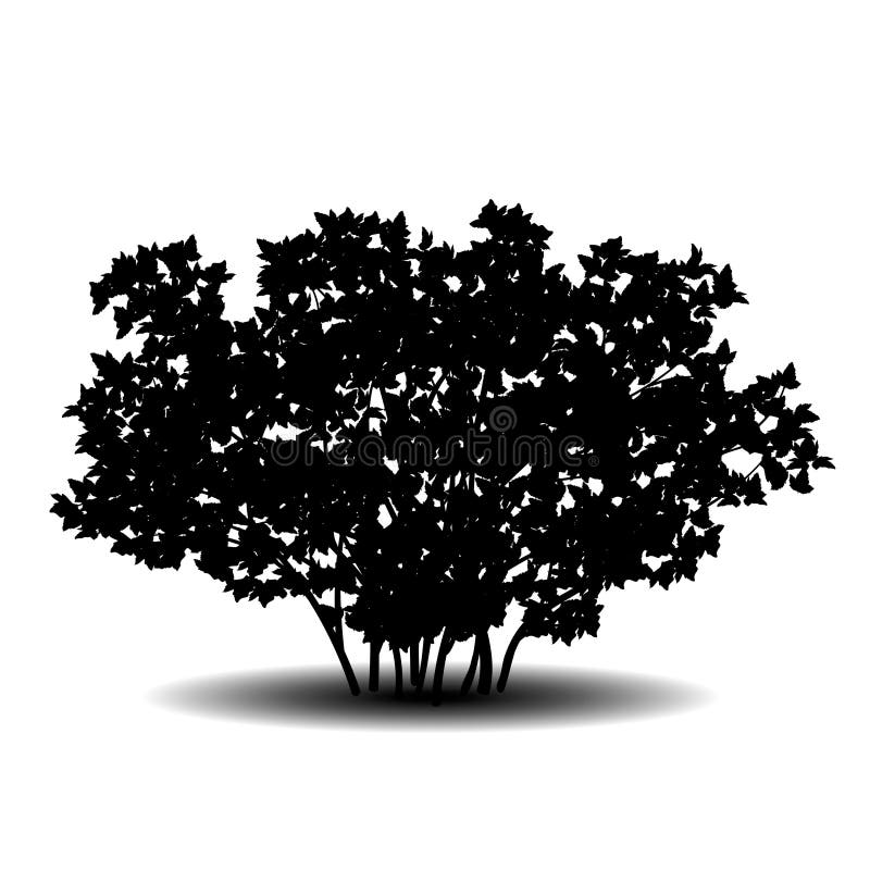 Silhouette Bush with Leaves and Shadow Stock Vector - Illustration of ...