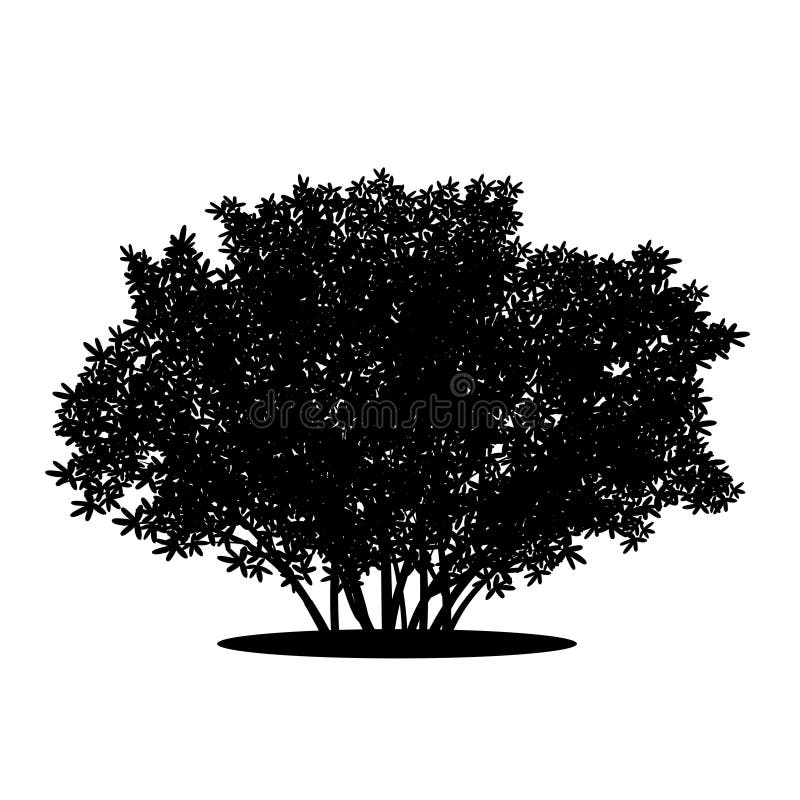 Silhouette of bush leaves. stock vector. Illustration of bush - 116381998