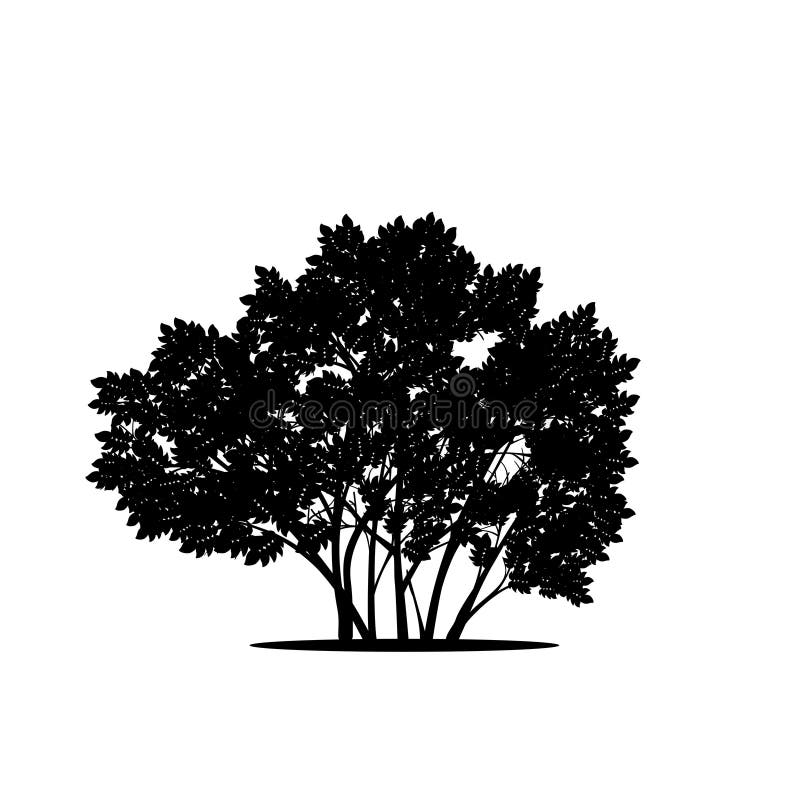 Silhouette Bush with Leaves and Shadow Stock Vector - Illustration of ...